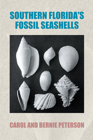 Southern Florida Fossil Seashells, Carol and Bernie Peterson – Blue ...